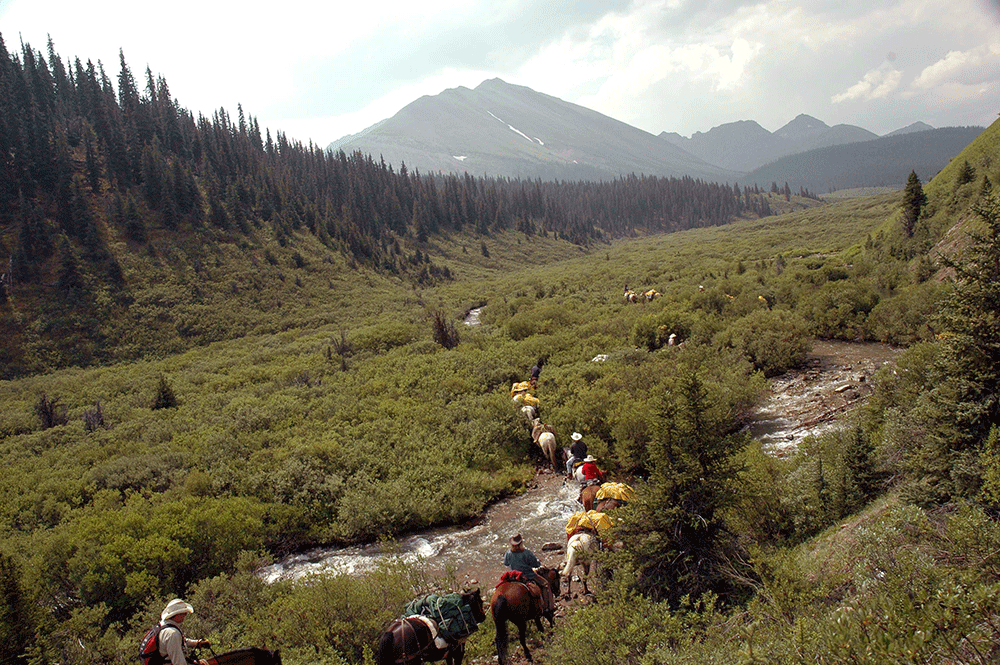 Willmore Wilderness Act - Willmore Wilderness Foundation